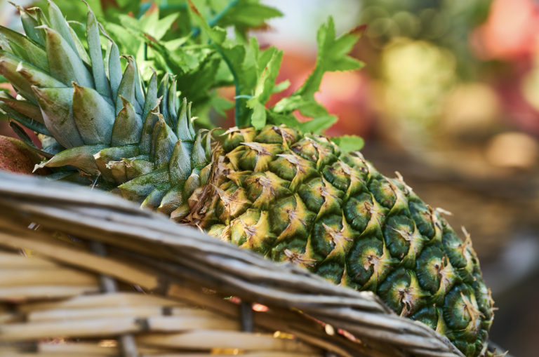 Do You Know How to Pick a Ripe Pineapple? - Chestnut Hill Farms
