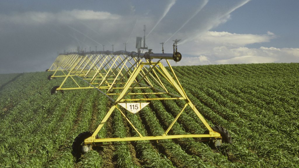 GettyImages-6596111491-5c2c1e0446e0fb0001254e42 - Chestnut Hill Farms