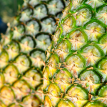 Is Green Pineapple from Costa Rica Ripe?Chestnut Hill Farms